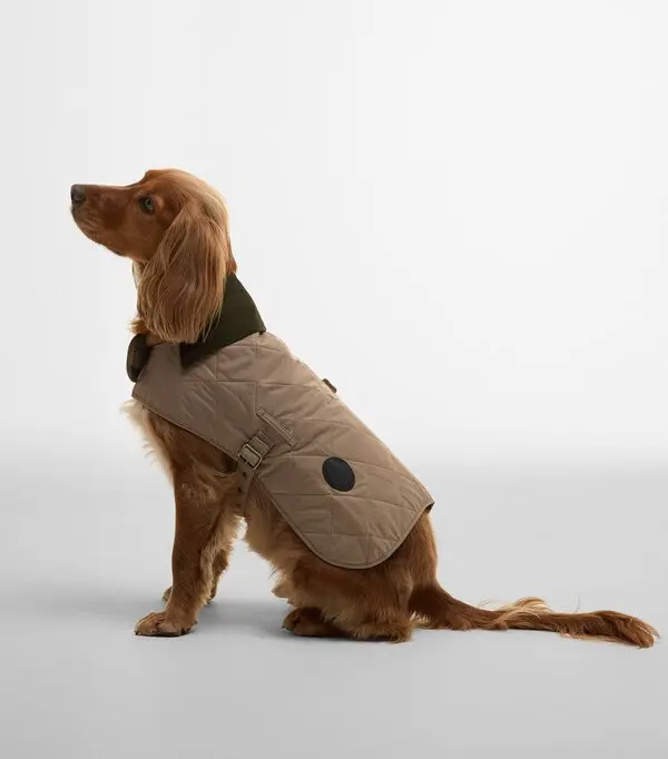 Barbour Quilted Dog Coat