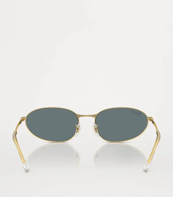 Ray-ban Full Rim Sunglasses