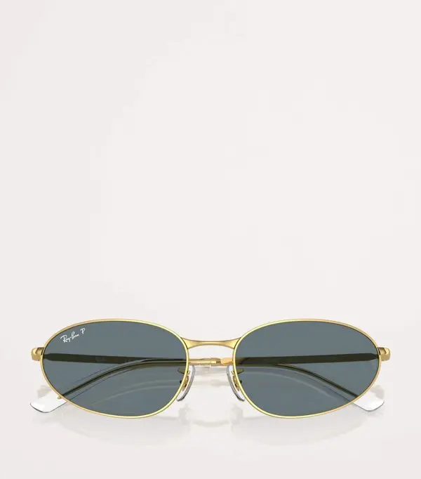 Ray-ban Full Rim Sunglasses
