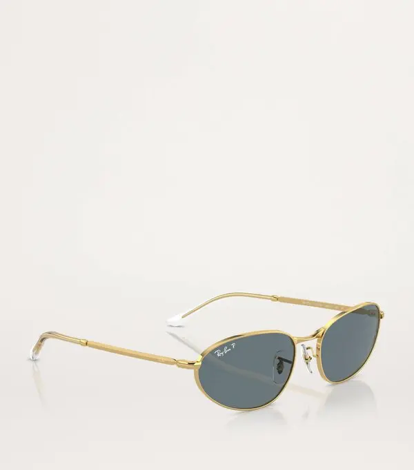 Ray-ban Full Rim Sunglasses
