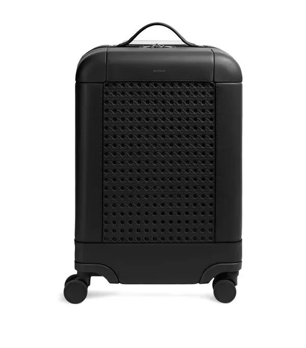AVITEUR Leather Carry-on Suitcase