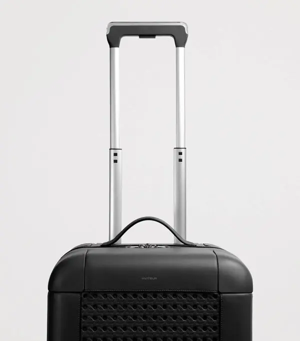 AVITEUR Leather Carry-on Suitcase