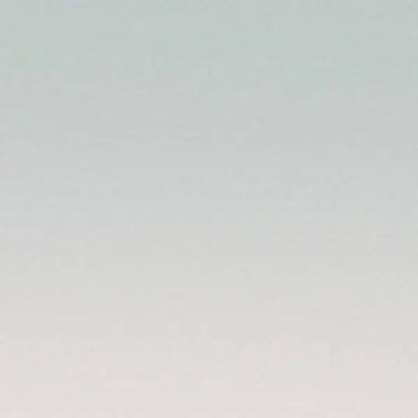 Chloé Poppy Octagonal Sunglasses