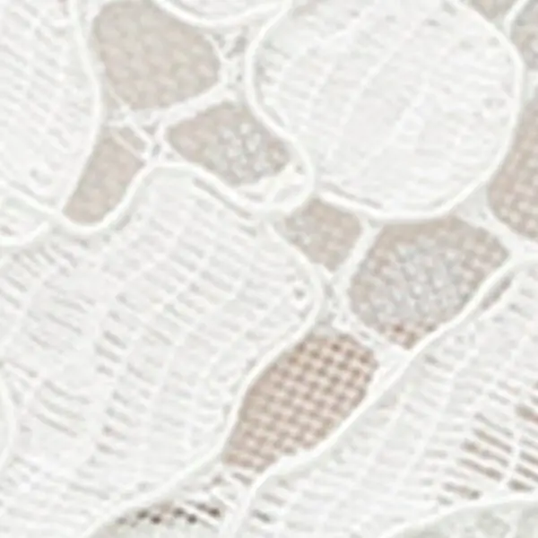 GIANVITO ROSSI Claudia Lace Pumps 85 - White