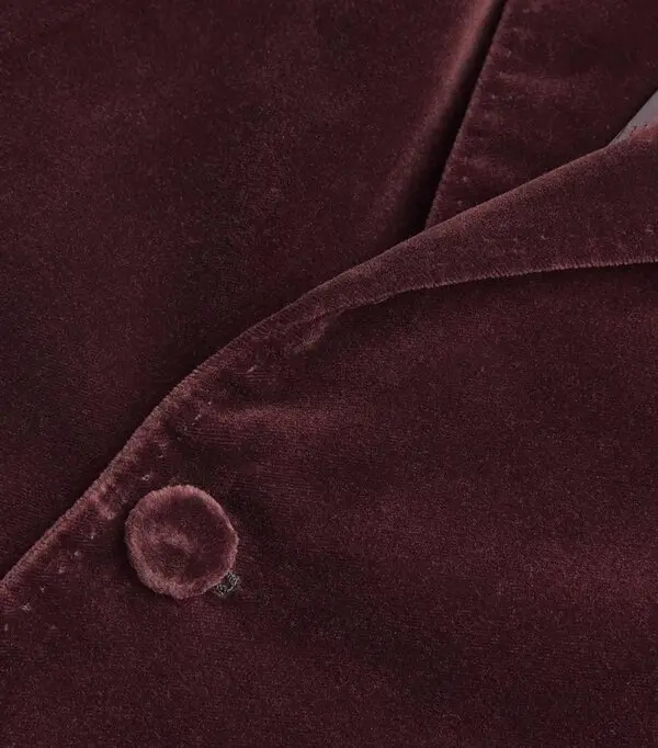 Brioni Velvet Single-breasted Blazer