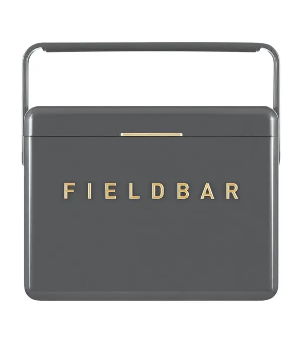 FIELDBAR Mini Bar Cooler Box With Leather Sling - Grey
