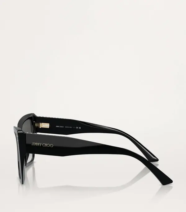 JIMMY CHOO Acetate Jc5001b Sunglasses