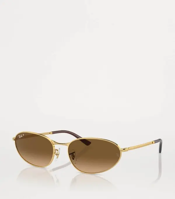 Ray-ban Sunglasses