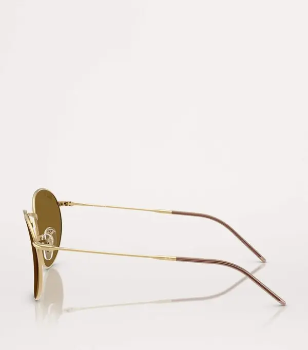 Ray-ban Rbr0103s Round Sunglasses - Black