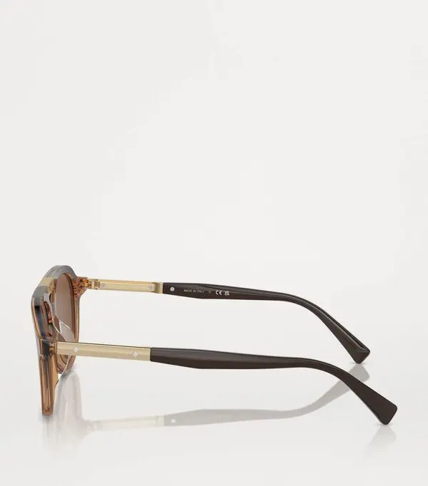 Brunello Cucinelli Acetate Bc4001s Sunglasses - Brown
