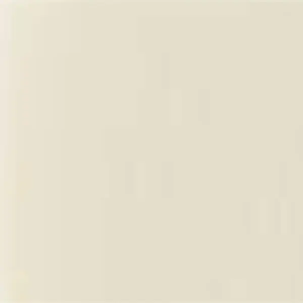 Balenciaga Acetate Sunglasses - White