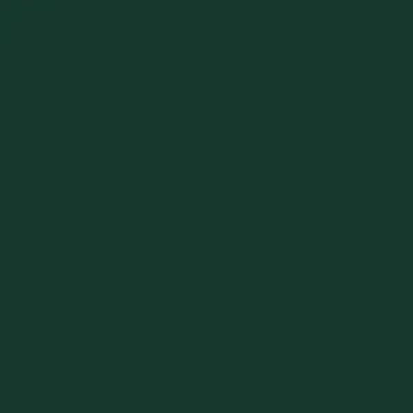 GIEN Ceramic Tea Cup - Green