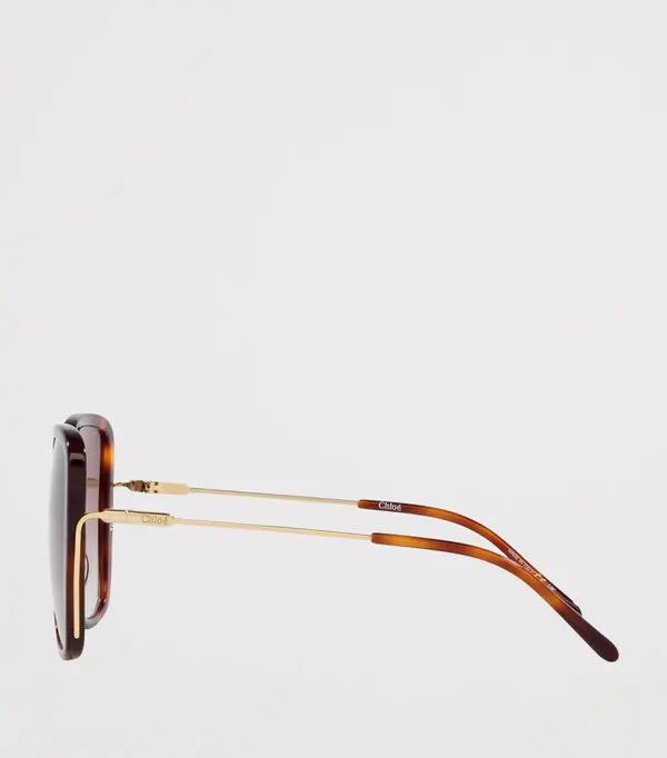Chloé Acetate Sunglasses - Brown