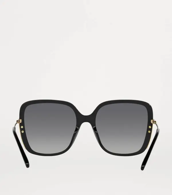 Chloé Acetate Sunglasses