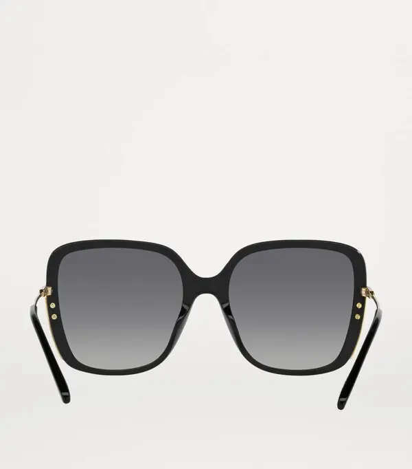 Chloé Acetate Sunglasses