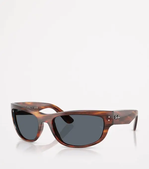 Ray-ban Mega Balorama Sunglasses - Brown