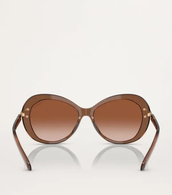 SWAROVSKI Acetate Sk6026 Sunglasses - Brown