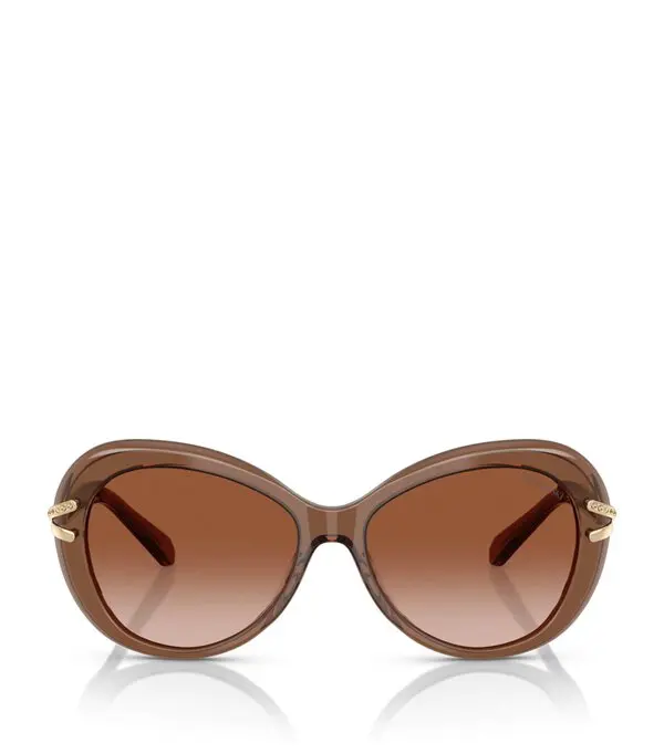 SWAROVSKI Acetate Sk6026 Sunglasses - Brown