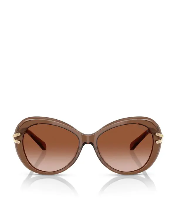 SWAROVSKI Acetate Sk6026 Sunglasses - Brown