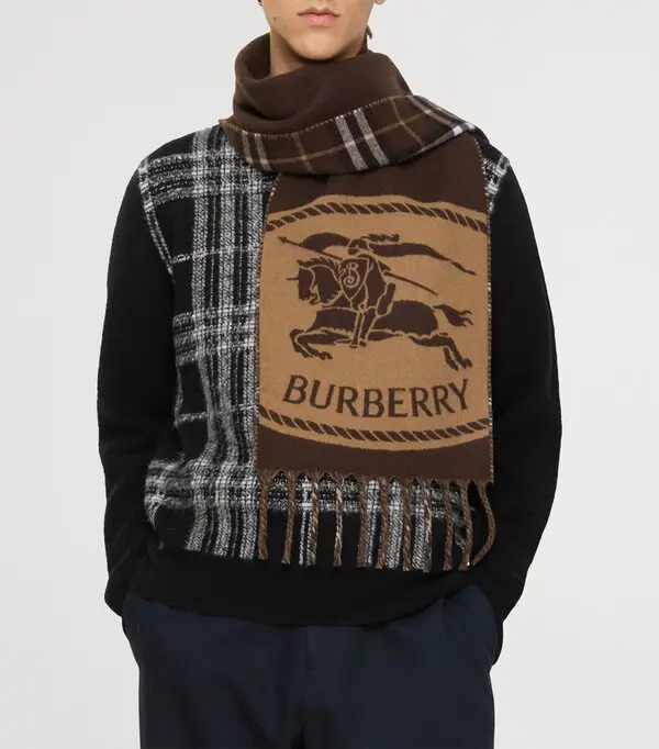 Burberry Cashmere Reversible Check Ekd Scarf - Brown