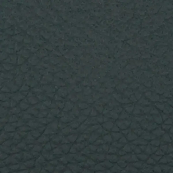 Loewe Leather Pebble Card Holder - Green