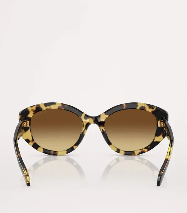 SWAROVSKI Oval Sk6005 Sunglasses - Brown