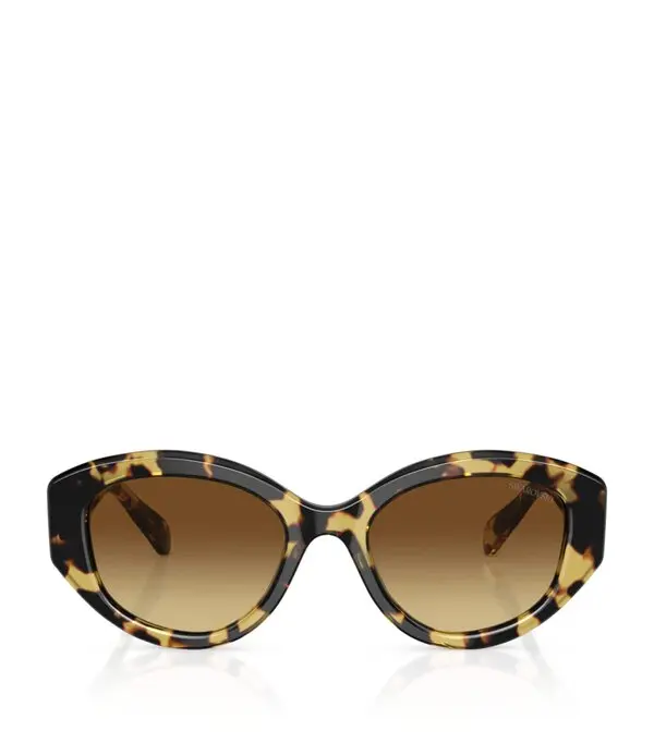 SWAROVSKI Oval Sk6005 Sunglasses - Brown