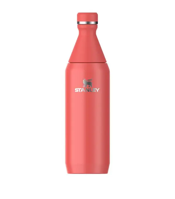 STANLEY All Day Slim Bottle - Grey