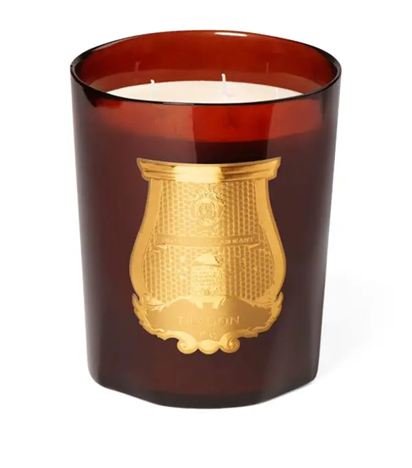 TRUDON Cire Candle - Brown