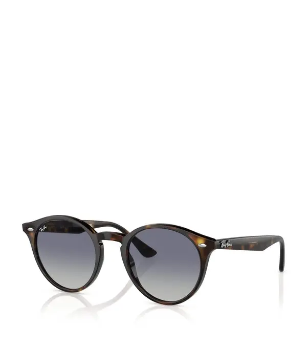 Ray-ban Propionate Round Frame Sunglasses - Brown