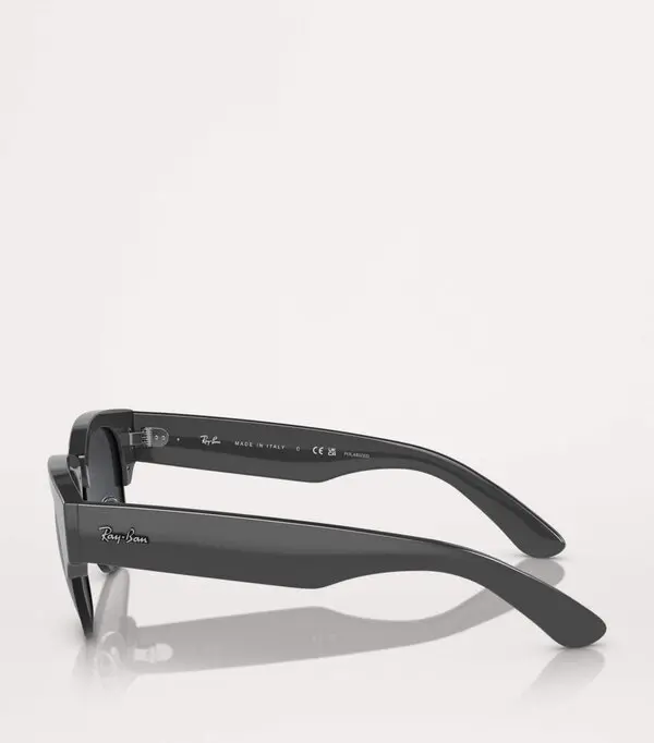 Ray-ban Propionate Sunglasses - Black