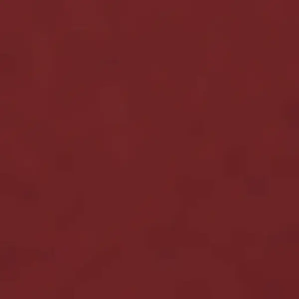 RIVIERE Leather Woven Diana Tray - Red