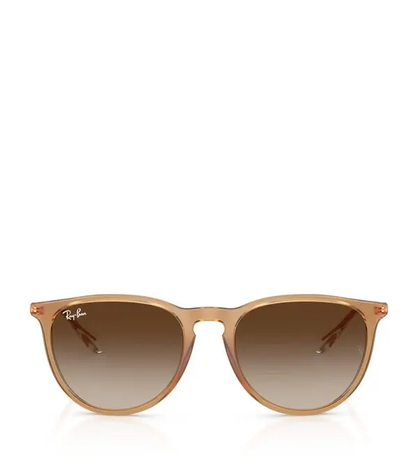 Ray-ban Erika Classic Sunglasses - Brown