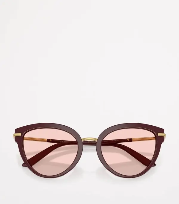Dolce & Gabbana Butterfly Acetate Sunglasses