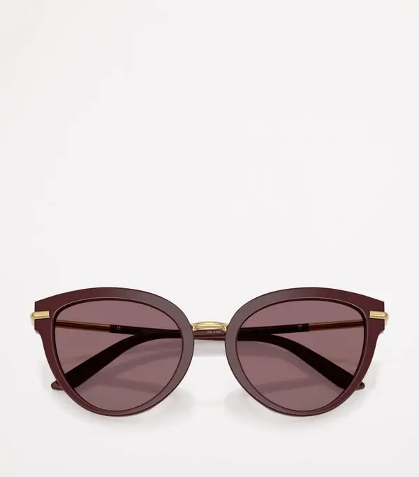 Dolce & Gabbana Butterfly Acetate Sunglasses
