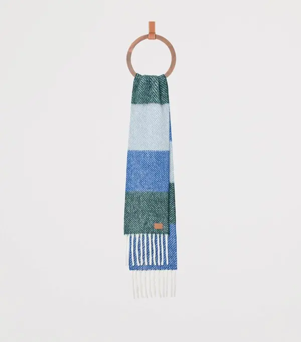 Loewe Alpaca-wool-blend Jacquard Stripe Scarf