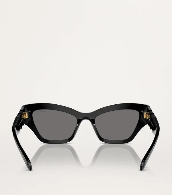 SWAROVSKI Acetate Sk6021 Sunglasses