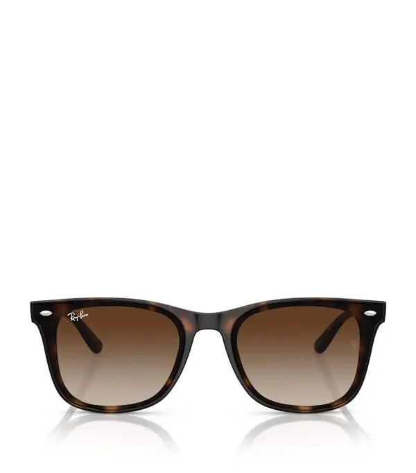 Ray-ban Injected Rb4420 Sunglasses - Brown