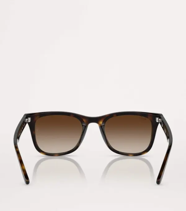 Ray-ban Rb4420 Sunglasses - Brown