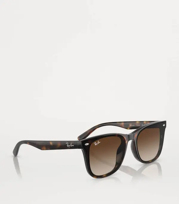 Ray-ban Rb4420 Sunglasses - Brown