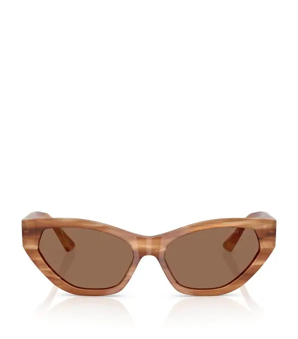 JIMMY CHOO Acetate Jc5022b Sunglasses - Brown