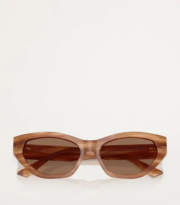 JIMMY CHOO Acetate Jc5022b Sunglasses - Brown