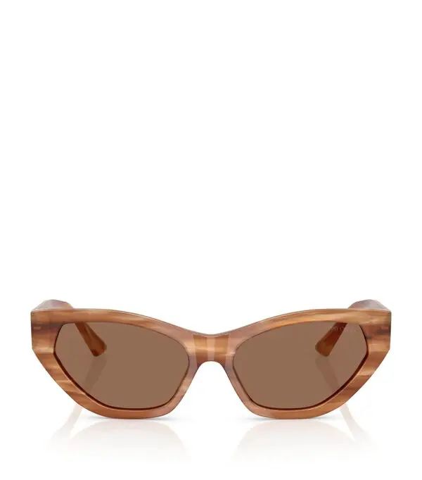 JIMMY CHOO Acetate Jc5022b Sunglasses - Brown