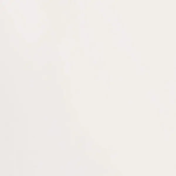 Polo Ralph Lauren Traveller Swim Shorts - Ivory