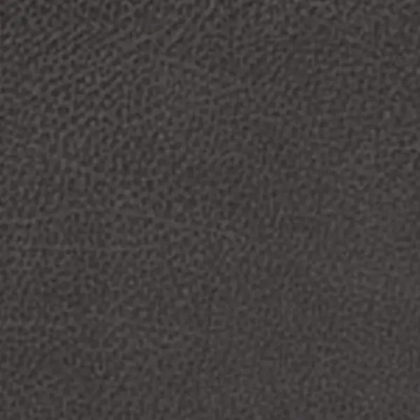 LIND DNA Set Of 4 Hippo Placemats