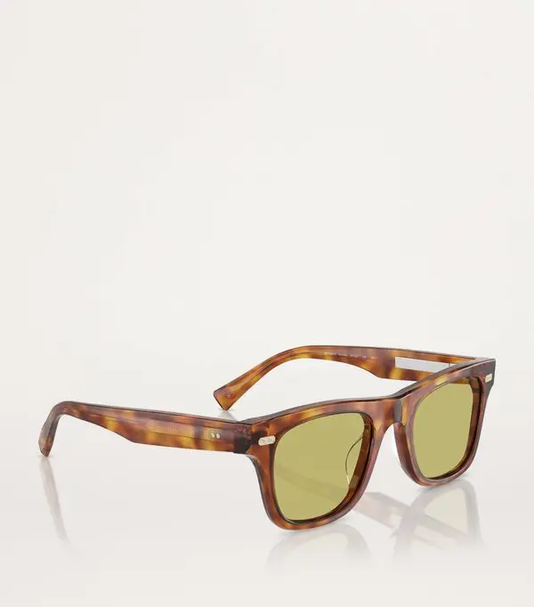 Brunello Cucinelli Acetate Bc4002s Sunglasses