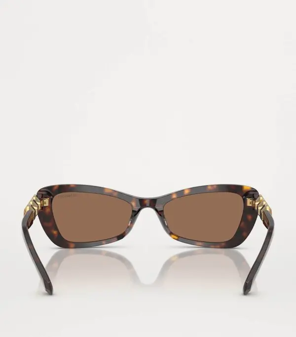 SWAROVSKI Acetate Sk6033 Sunglasses - Brown