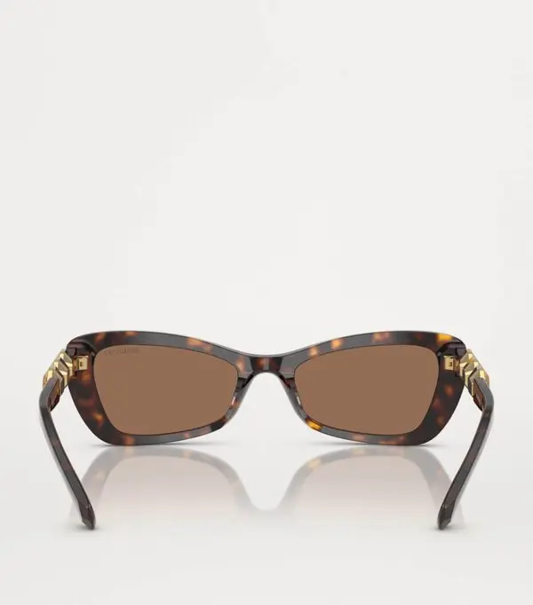 SWAROVSKI Acetate Sk6033 Sunglasses - Brown
