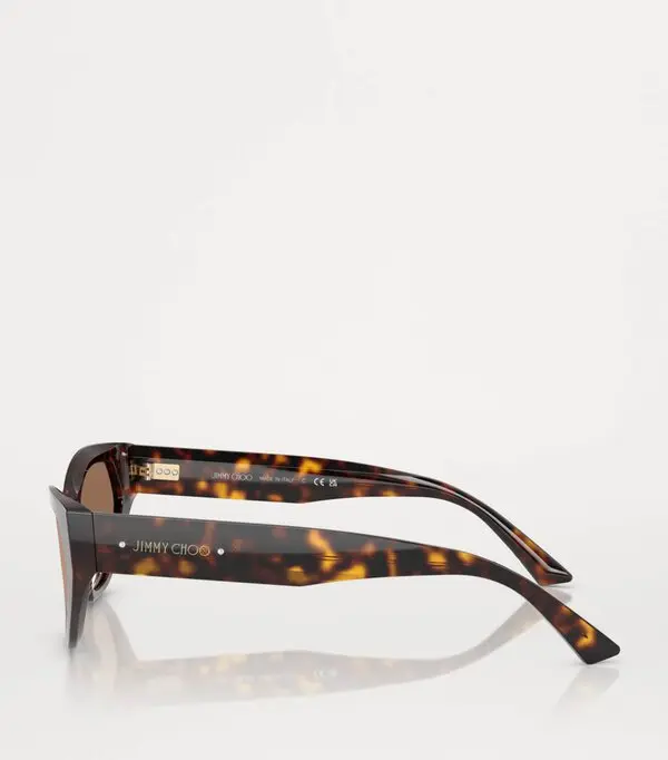 JIMMY CHOO Acetate Jc5022b Sunglasses - Brown