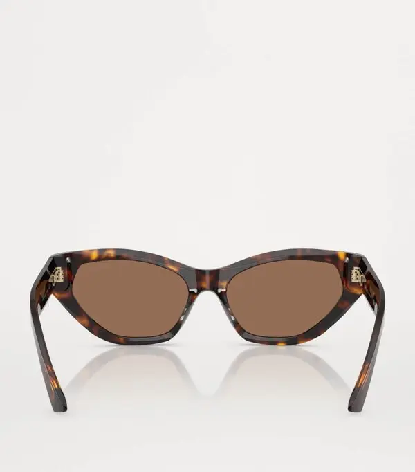 JIMMY CHOO Acetate Jc5022b Sunglasses - Brown